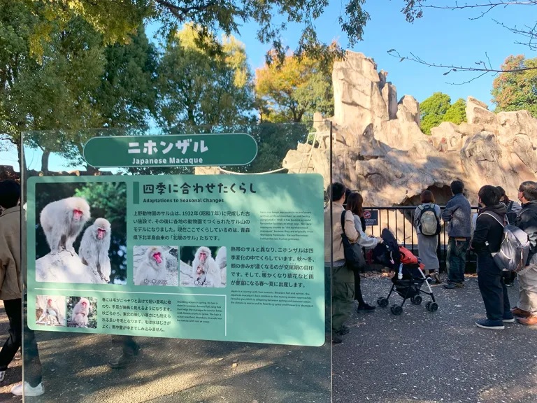 Visiting Ueno Zoo for the first time as an adult shows our reporter the ...