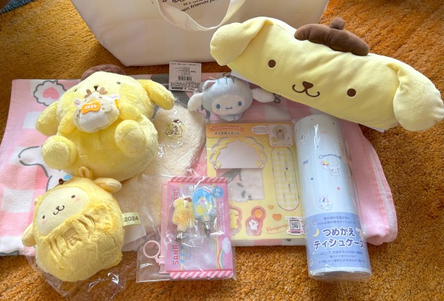 Sanrio’s lucky bag promises even more kawaii goods galore in 2024 ...