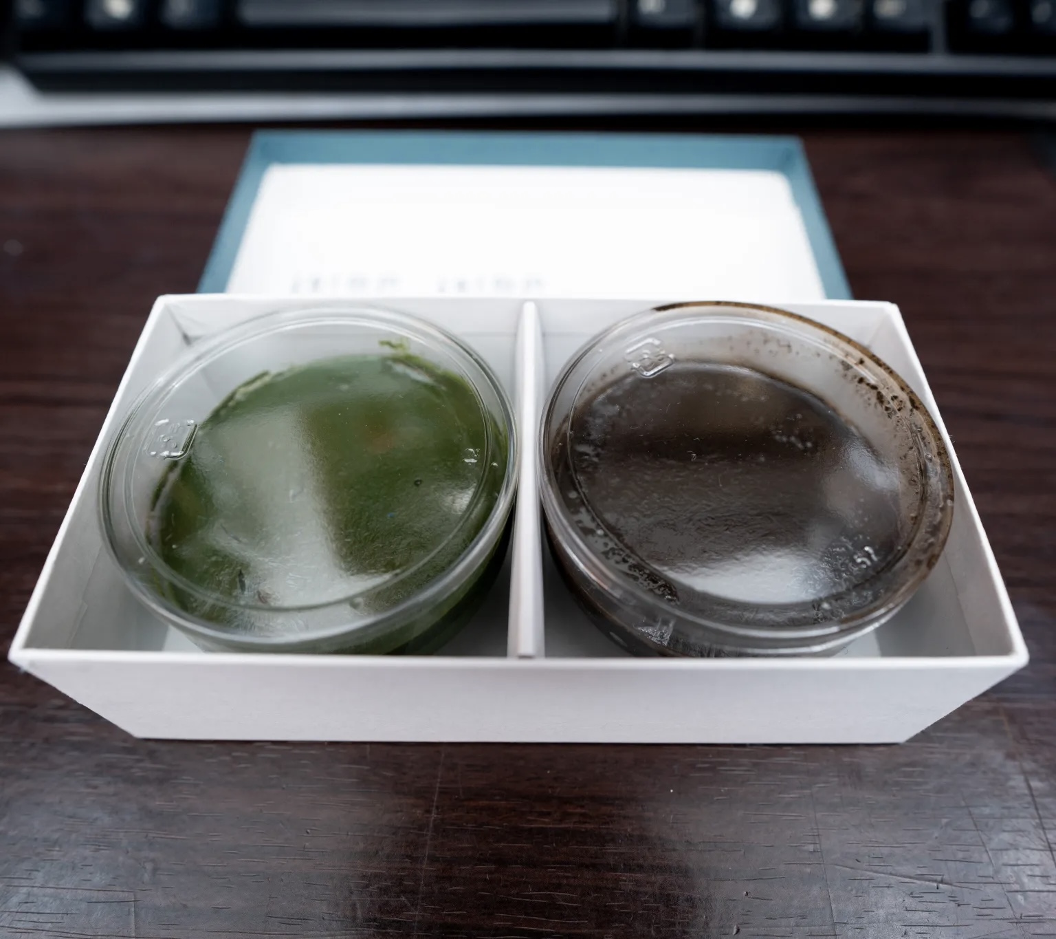 Matcha strawberry daifuku from Hatoya really lets the green tea shine ...