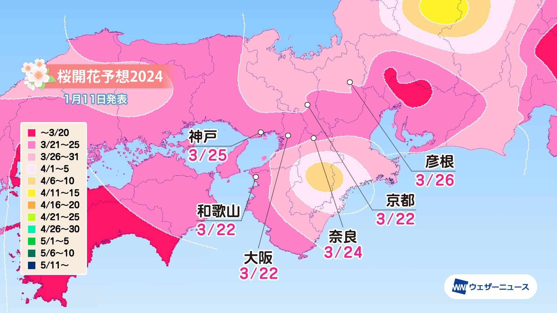 Super-detailed cherry blossom forecast maps show early arrival for ...