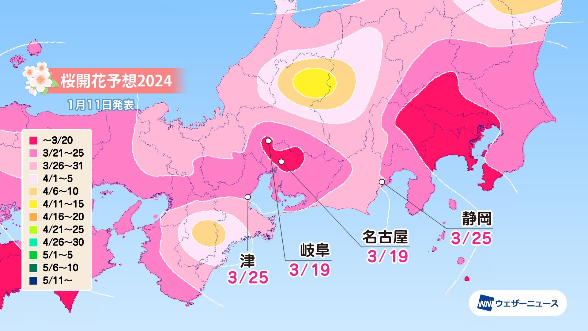 Super-detailed cherry blossom forecast maps show early arrival for ...
