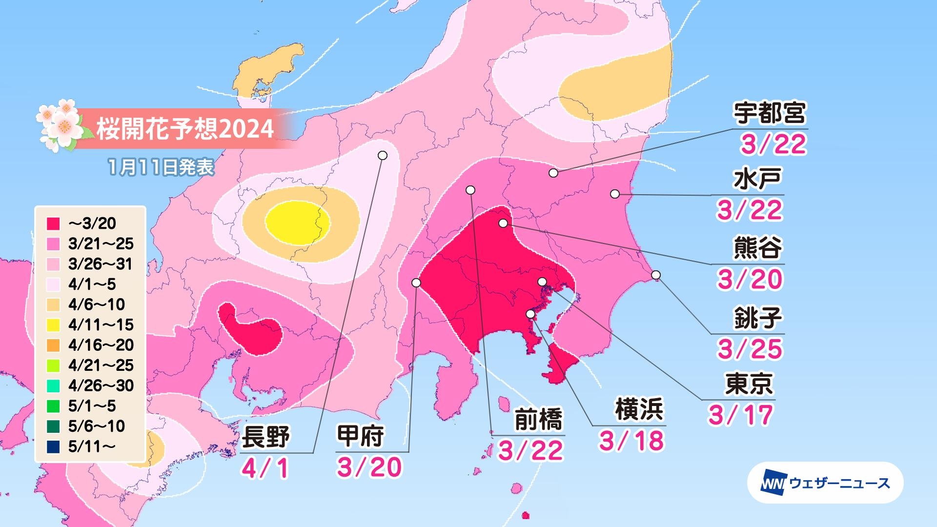 Super-detailed cherry blossom forecast maps show early arrival for ...