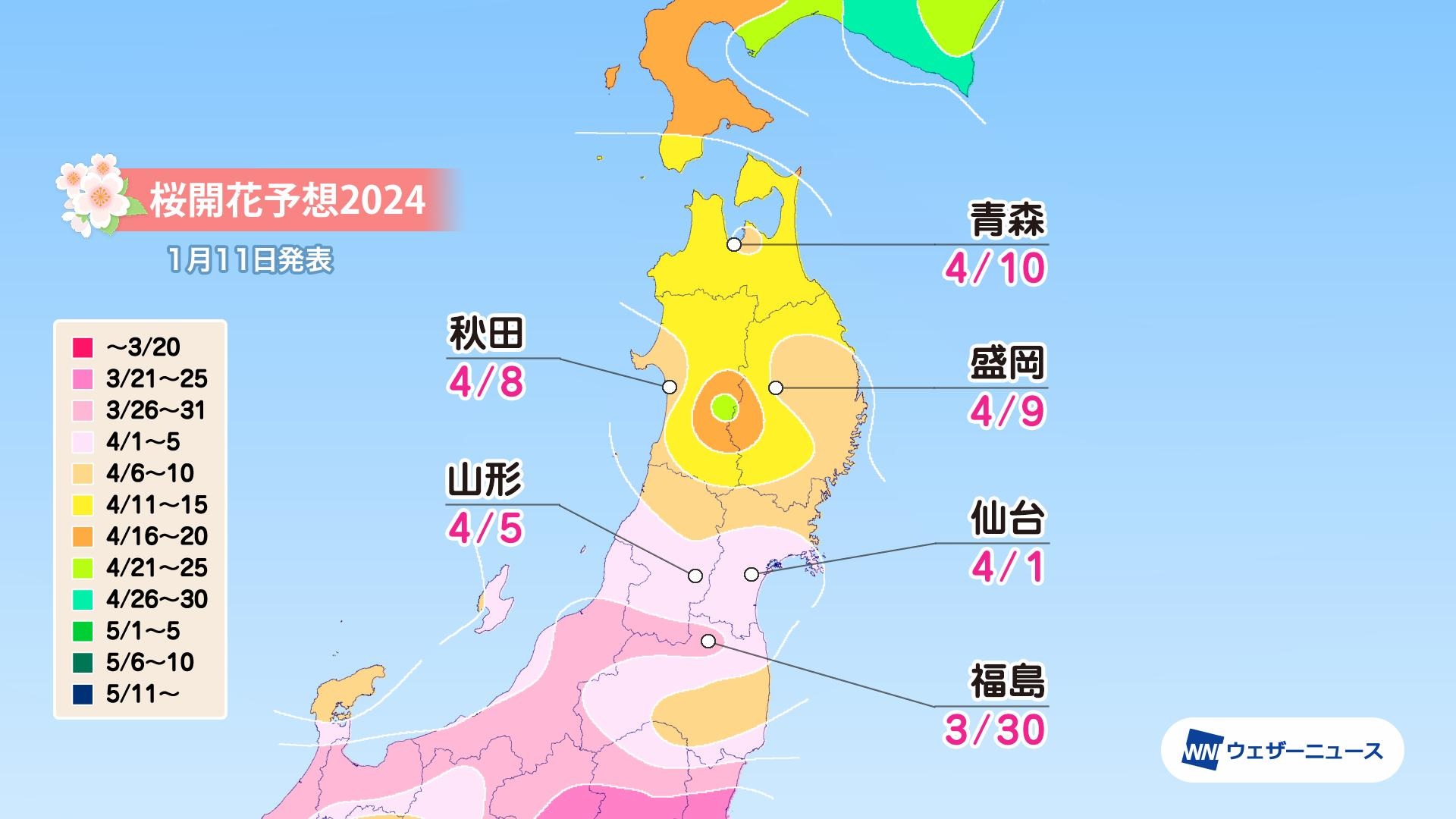 Super-detailed cherry blossom forecast maps show early arrival for ...