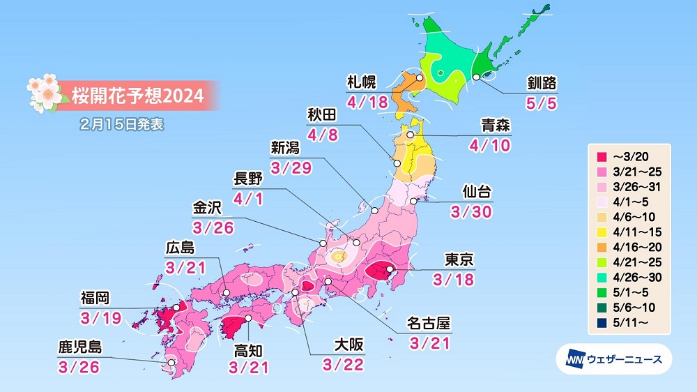 Updated cherry blossom forecast moves up blooming date, predicts sakura ...