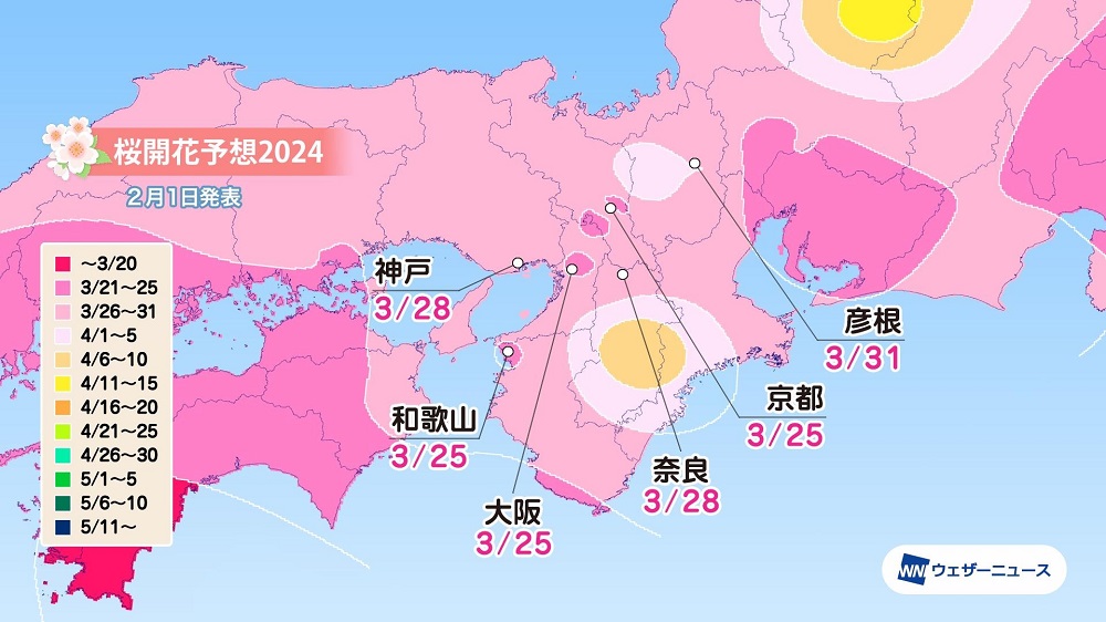 Updated sakura forecast: Cherry blossoms coming to Tokyo first, but ...