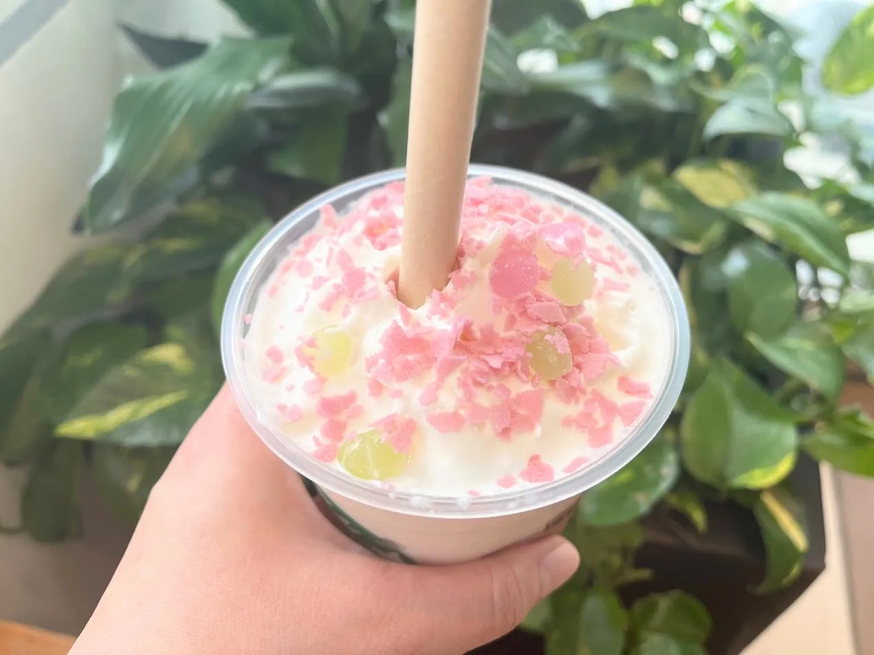 Is Starbucks Japan’s hot Hanami Sakura Cream better than the ...
