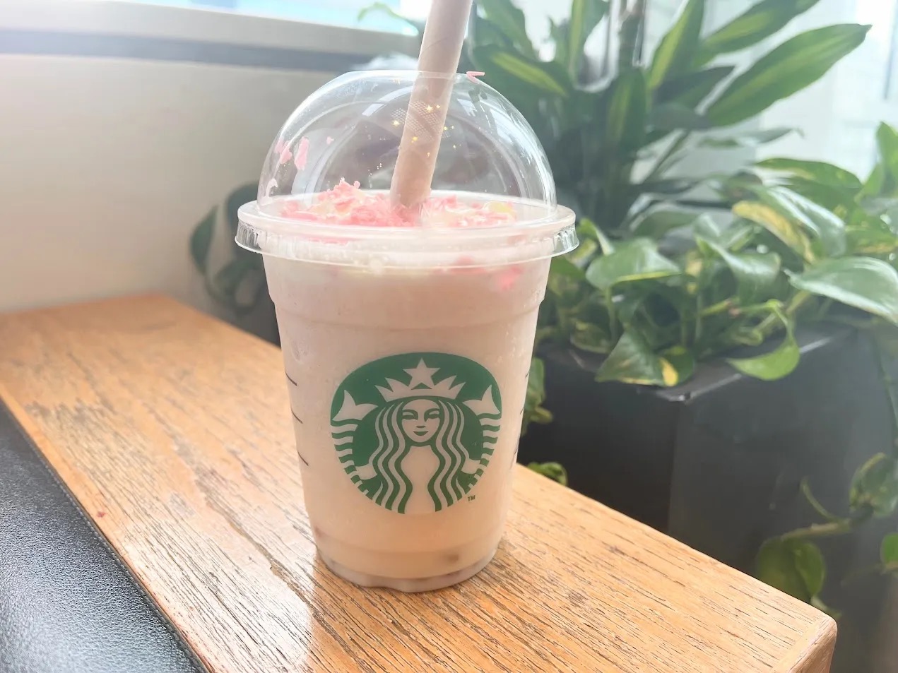 Is Starbucks Japan’s hot Hanami Sakura Cream better than the ...