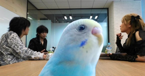 We talk about everything except music with visual kei rock legends ...