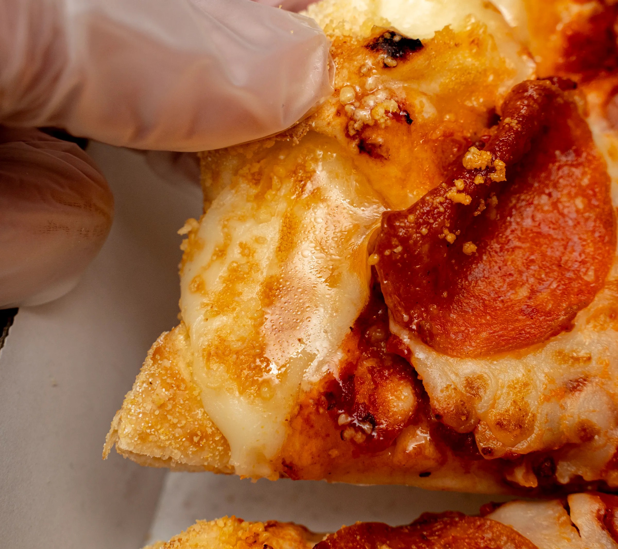 Domino’s Japan now sells…pizza ears? | SoraNews24 -Japan News-