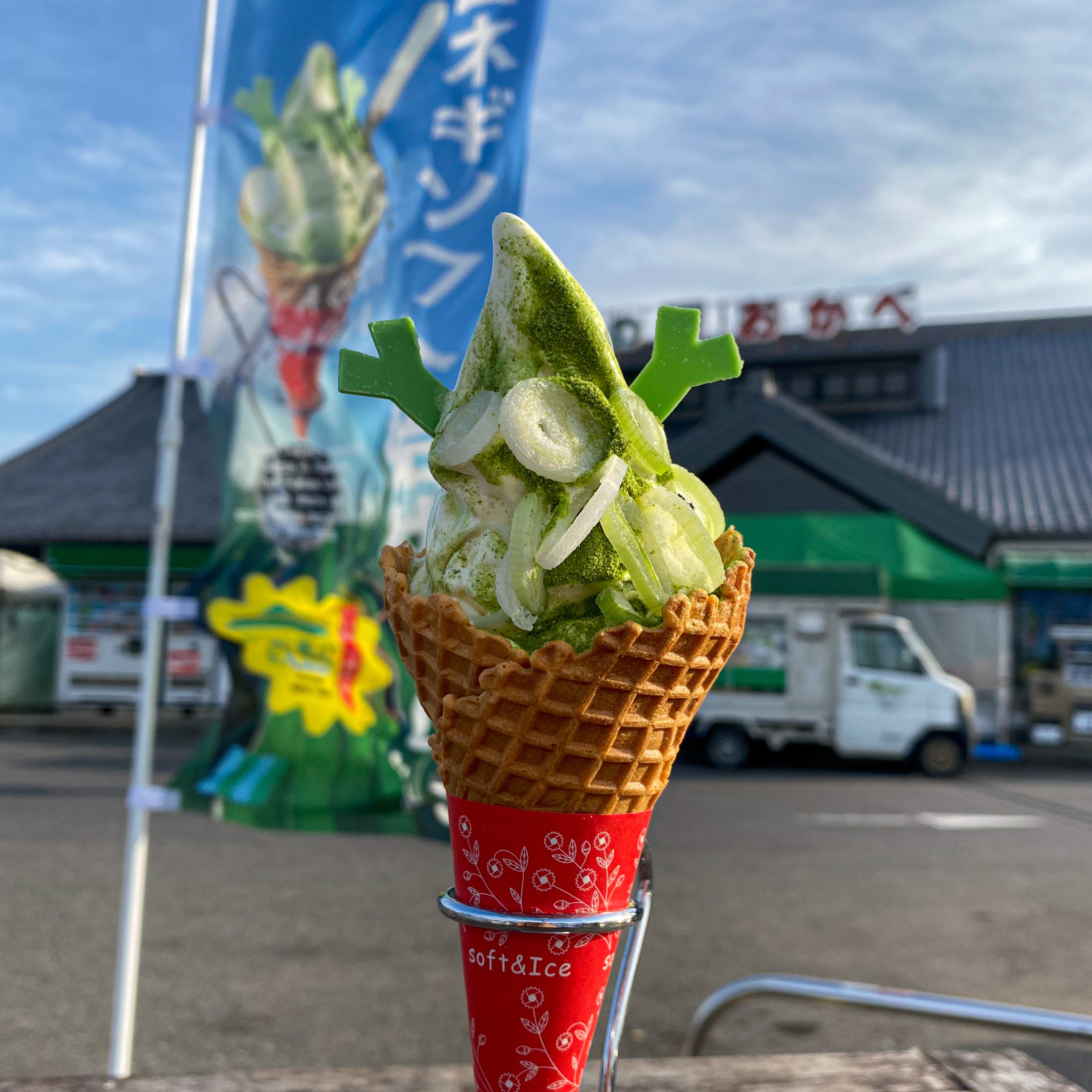 Leek ice cream is Japan’s newest must-try local specialty | SoraNews24 ...