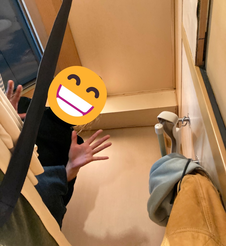 An overnight trip on the Sunrise Izumo, Japan’s awesome Tokyo-Shimane ...