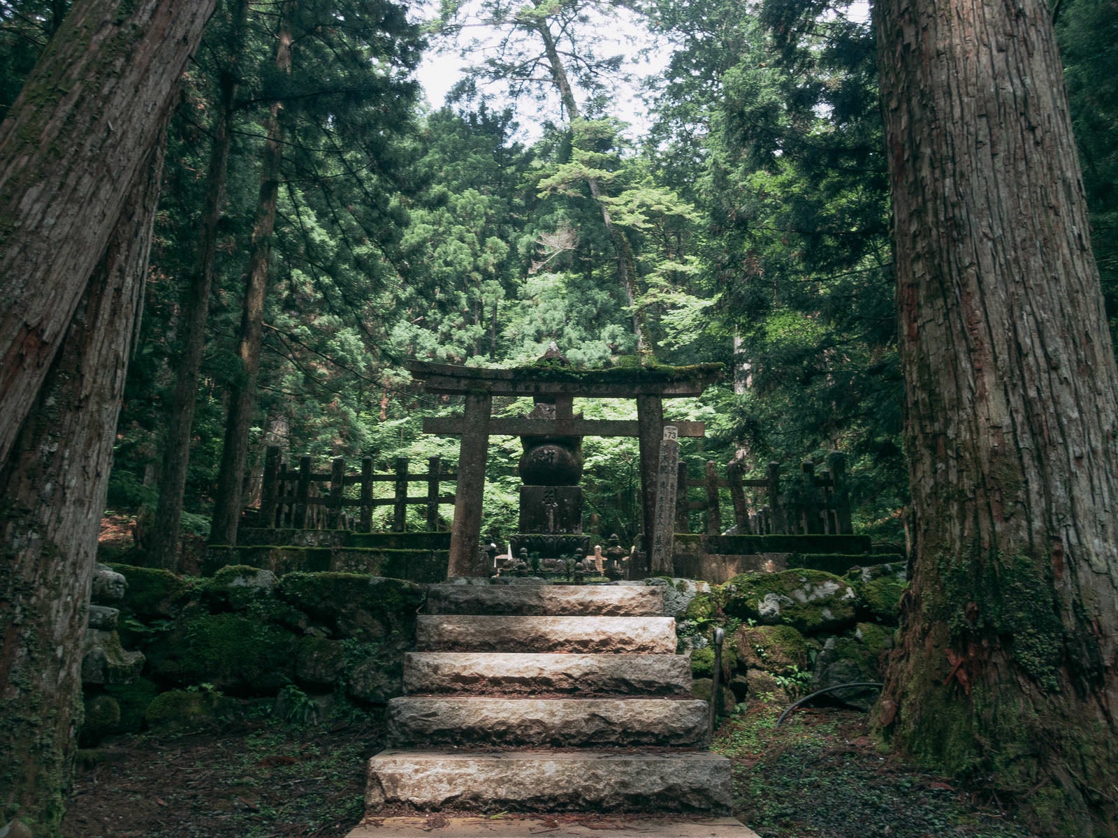 Mt. Koya planning to instate visitor’s tax to cope with huge tourist ...
