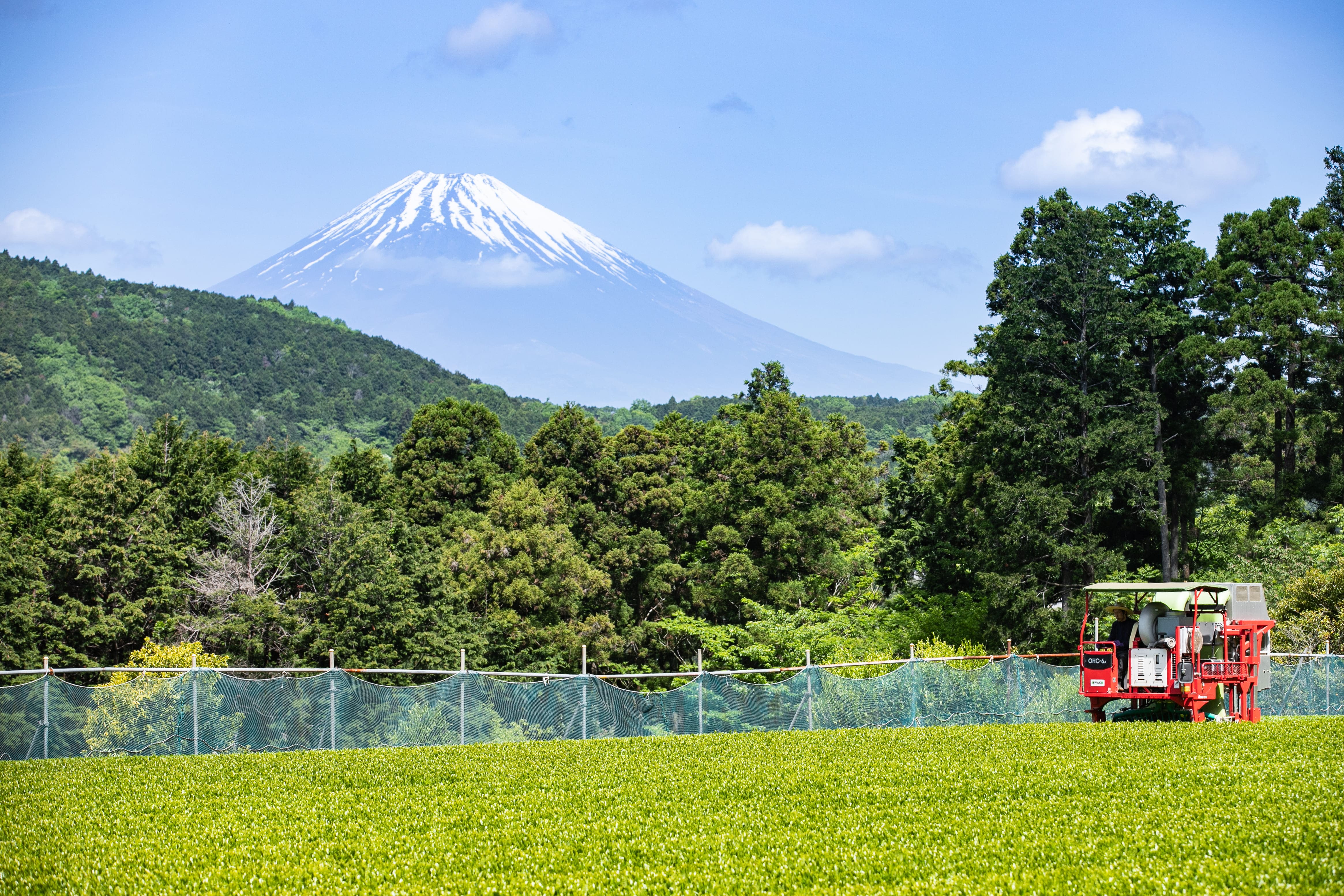 Japan’s massive matcha parfait weighs 6 kilos, contains hidden ...