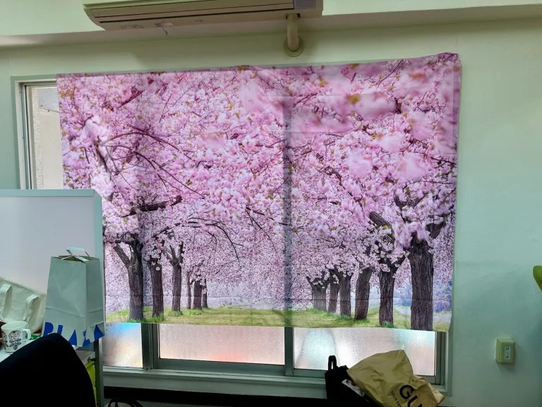 Sakura season schedule is screwed up, so we had a no-cherry blossom ...