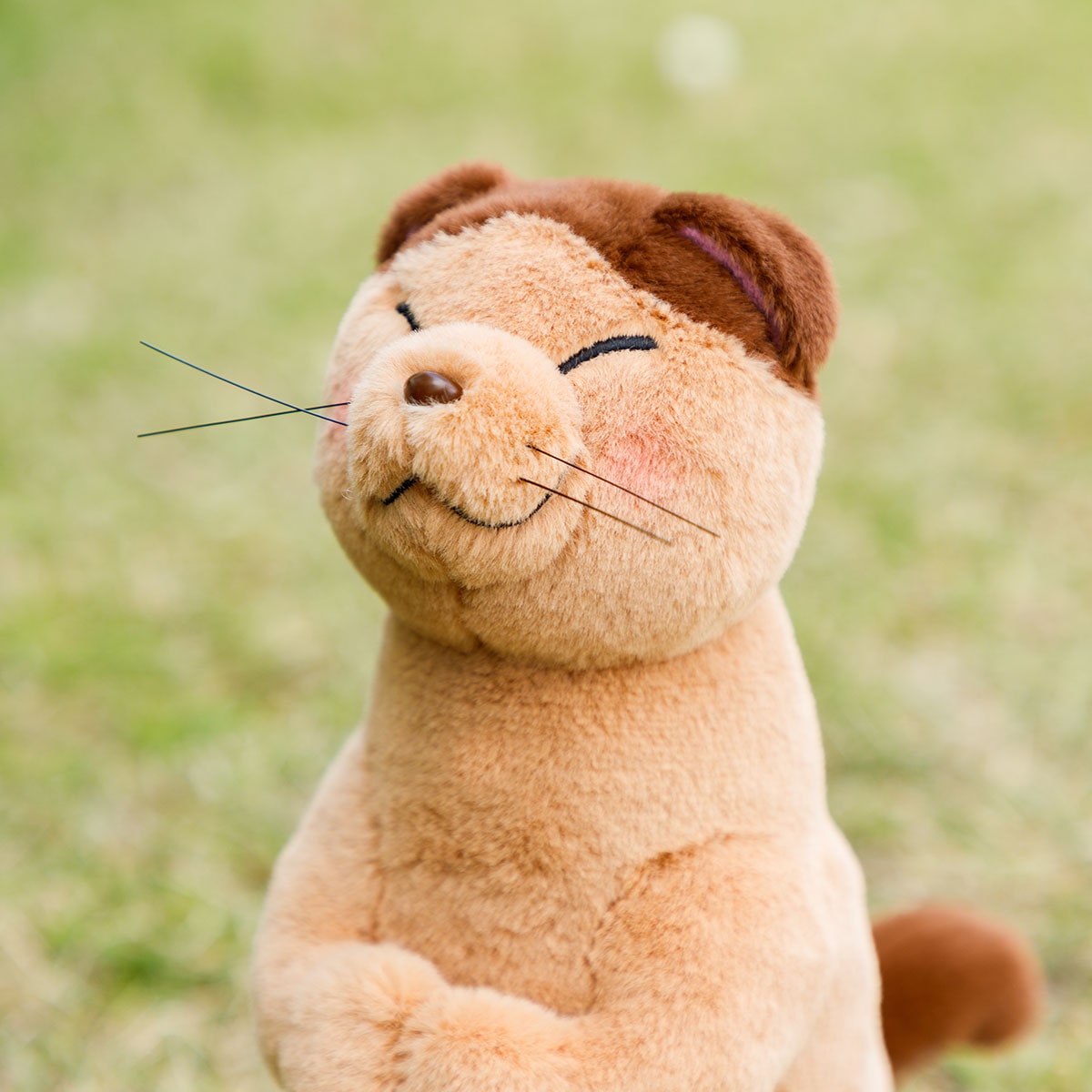 Studio Ghibli unveils new goods that tip the hat to The Cat Returns ...