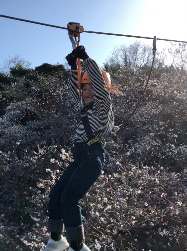 Enjoy viewing Kyoto’s cherry blossoms from above on a guided zipline ...