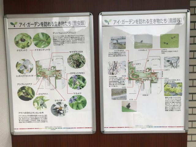 Japanese department store rooftop is a secret oasis where you can ...