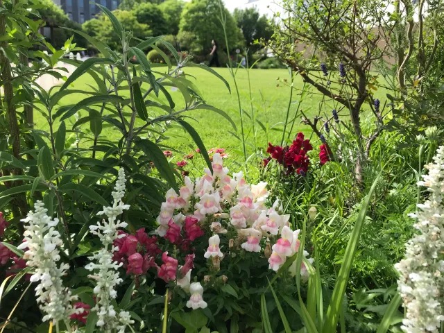 Japanese department store rooftop is a secret oasis where you can ...