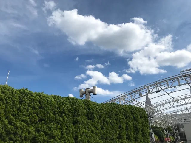 Japanese department store rooftop is a secret oasis where you can ...