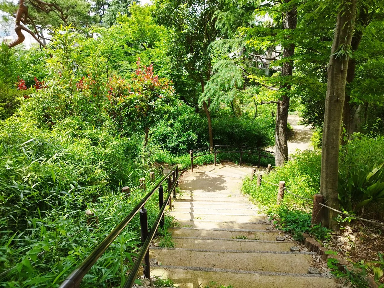 Japanese public toilet in Tokyo is more like a fancy restaurant than a ...