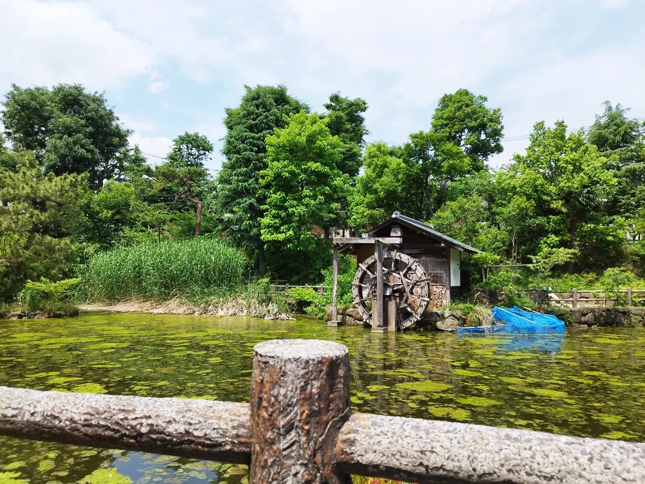 Japanese public toilet in Tokyo is more like a fancy restaurant than a ...