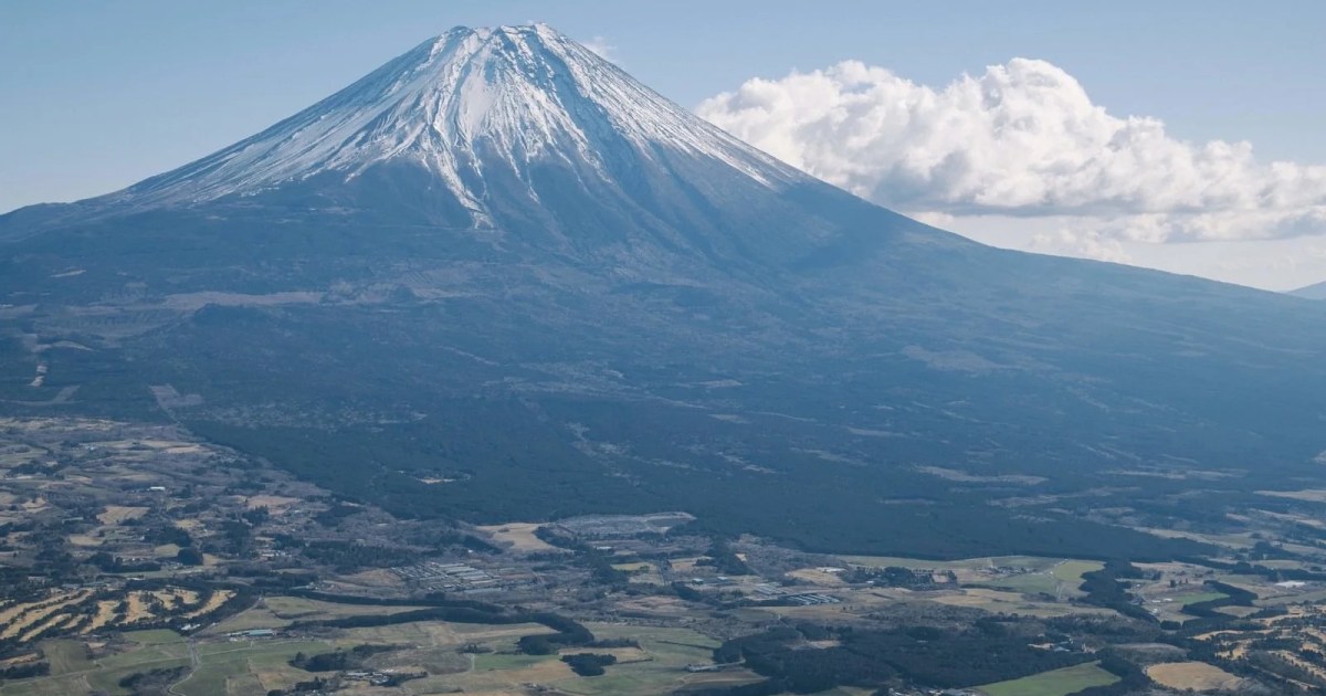 Bad-mannered tourists cause chaos at new Mt Fuji viral photo spot, city ...