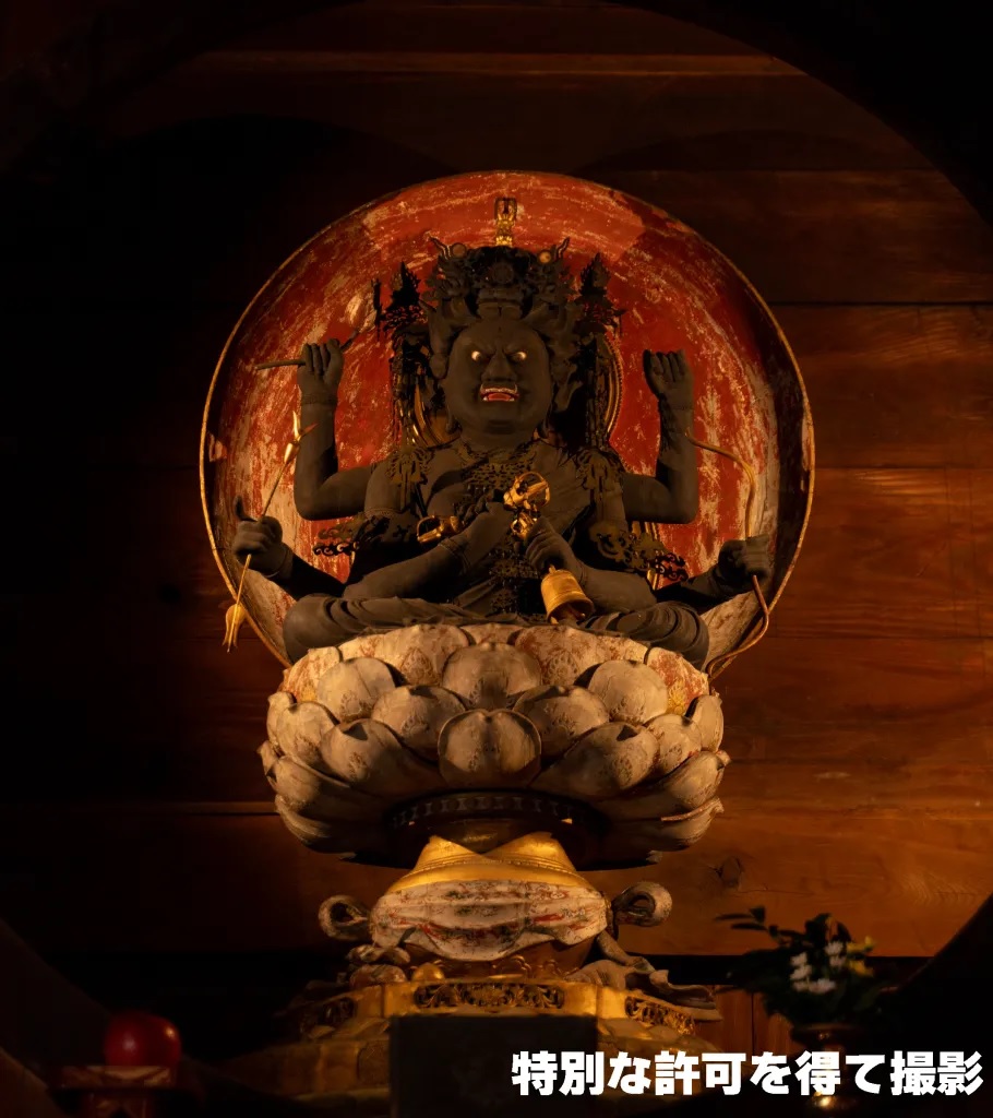 Dragon reformation and the largest clay Budda in Japan: A visit to ...