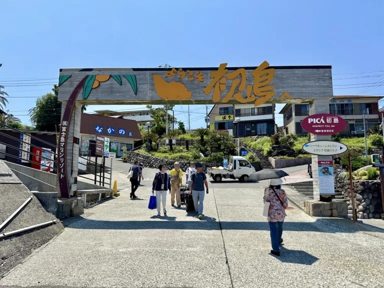 Headed to the beautiful island under two hours from Tokyo? This sashimi ...