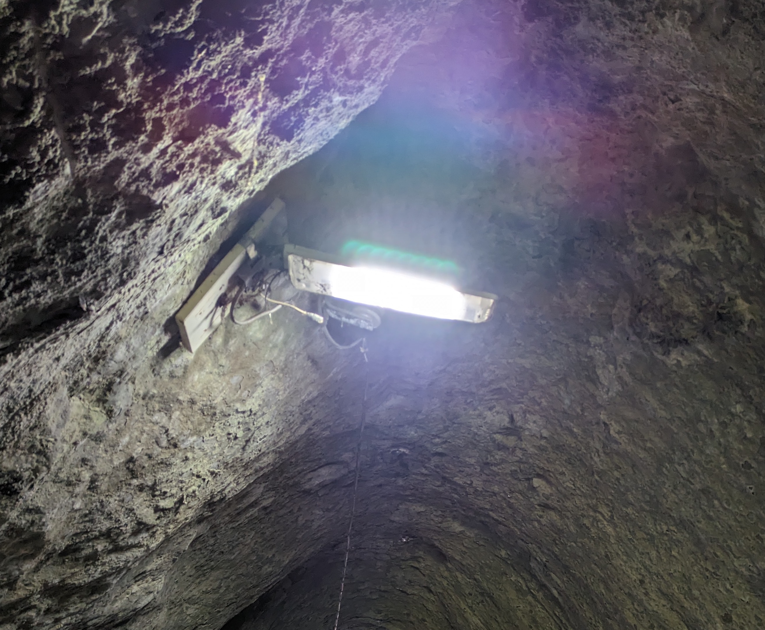 Japanese hand-dug tunnels on a bamboo forest trail are like a quest in ...