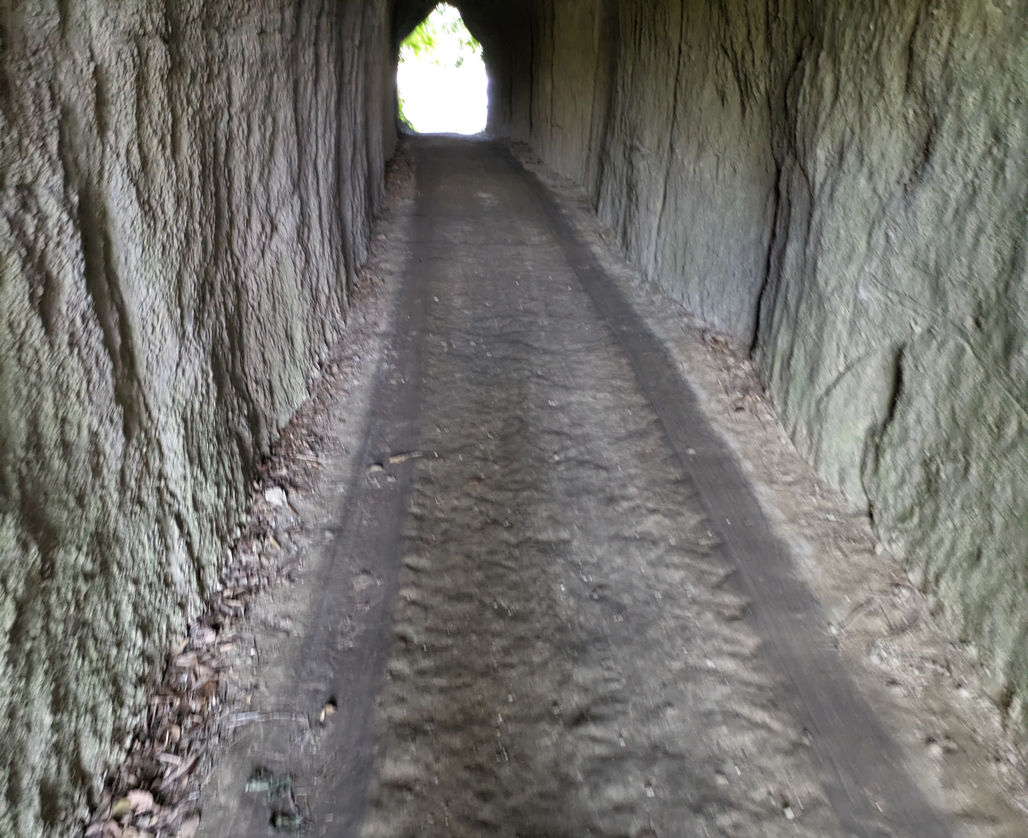 Japanese hand-dug tunnels on a bamboo forest trail are like a quest in ...