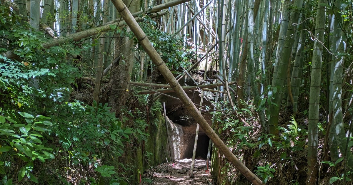 Japanese hand-dug tunnels on a bamboo forest trail are like a quest in ...