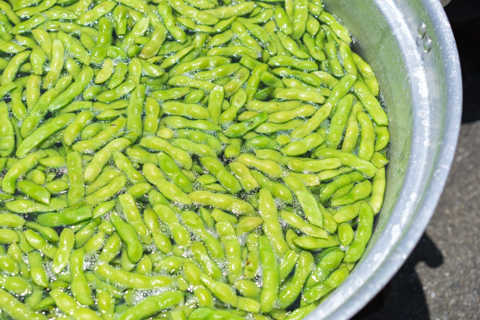 Edamame lovers! Take part in the World Edamame Speed-Eating ...