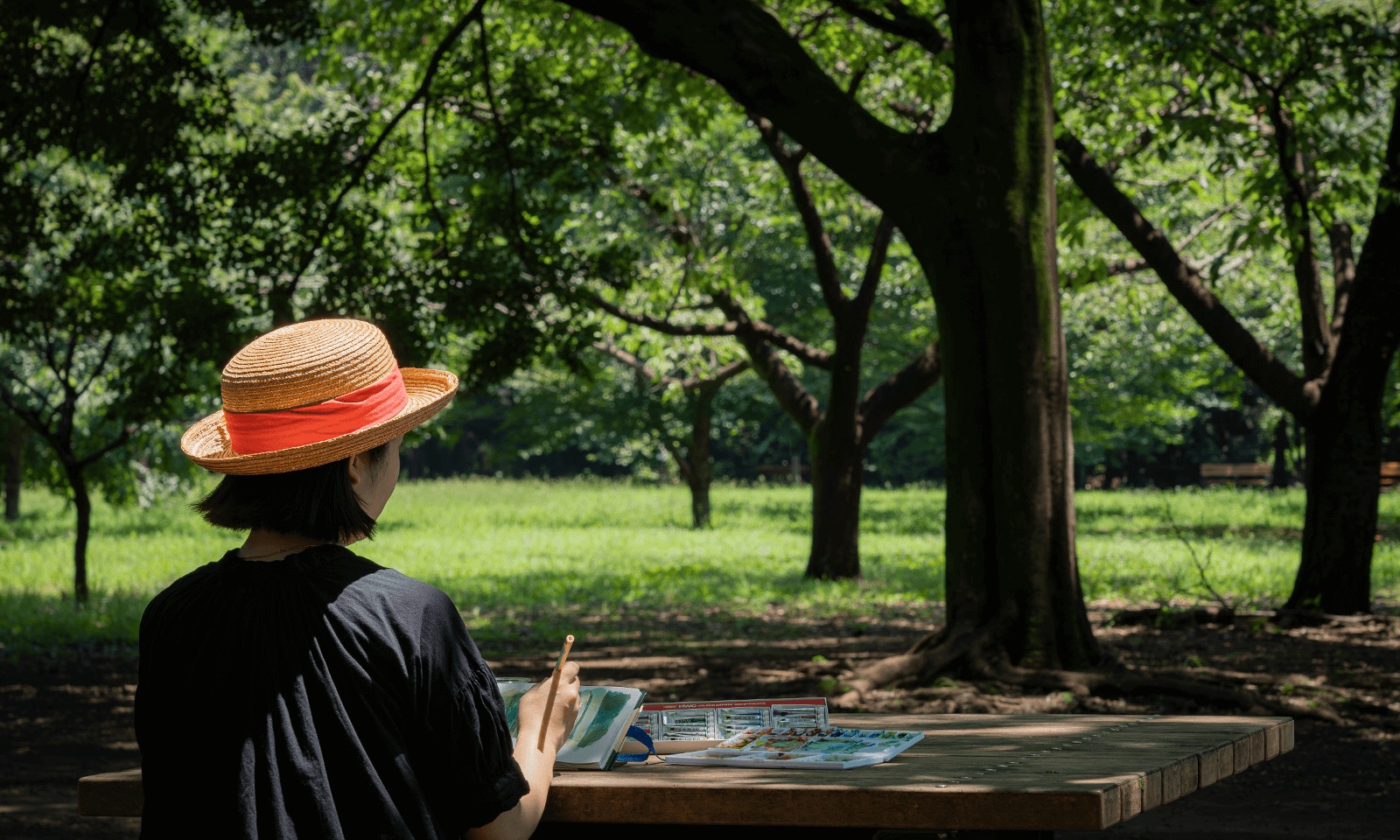 Draw like a Studio Ghibli anime artist with exclusive watercolour set ...