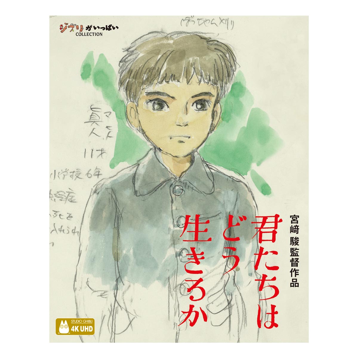 Studio Ghibli director Hayao Miyazaki’s films now available in DVD and ...