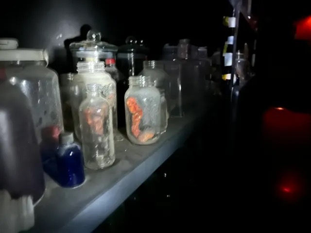 Haunted hospital near Mt Fuji re-opens after renovation at Fuji-Q ...