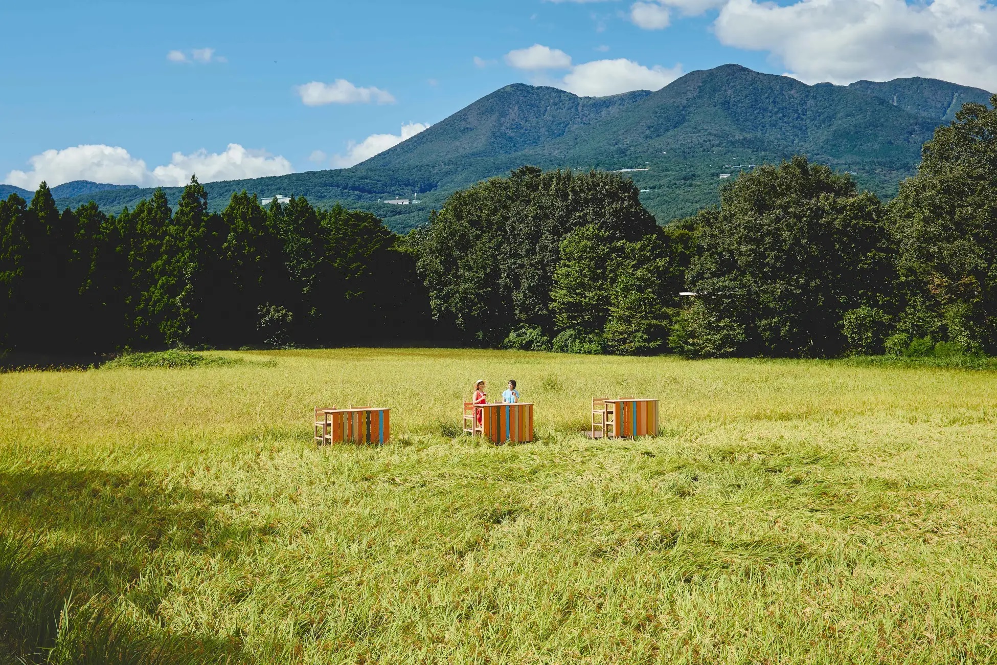 Four breathtaking beer gardens to visit before summer ends in Japan (or ...