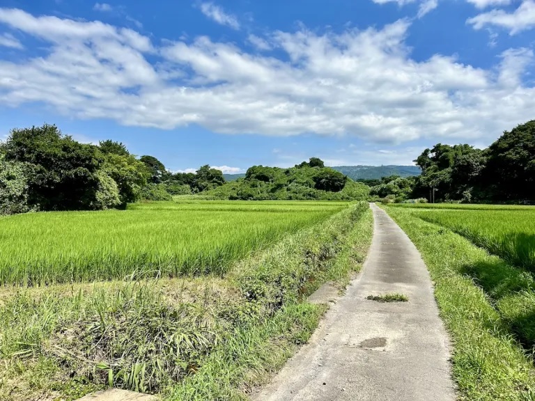 Anime holy ground – A visit to the real-world location of Look Back ...