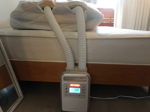 Woman versus bed bug: A battle to the death | SoraNews24 -Japan News-