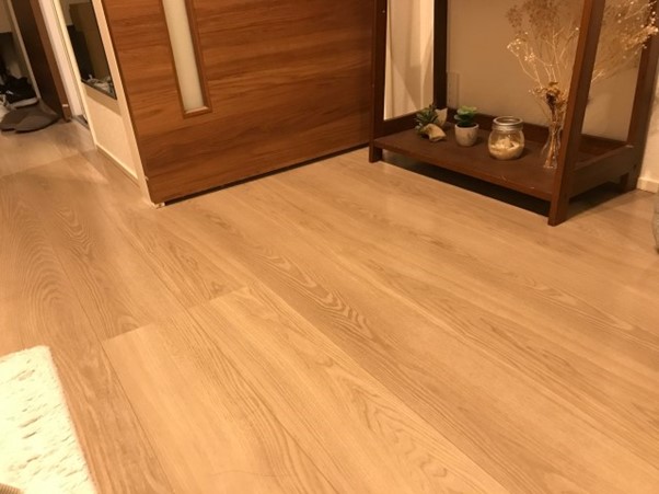 Woman versus bed bug: A battle to the death | SoraNews24 -Japan News-