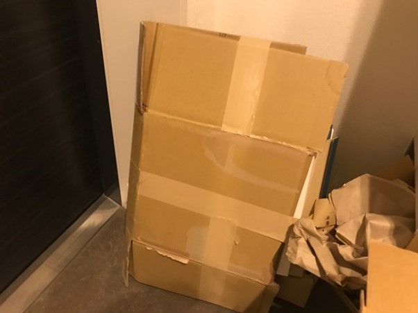 Woman versus bed bug: A battle to the death | SoraNews24 -Japan News-