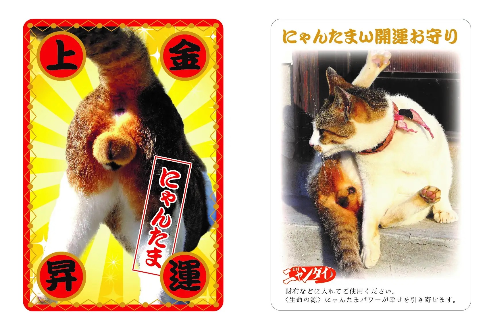 Japan’s cat testicle calendar is here for nyantama fans to go nuts with ...