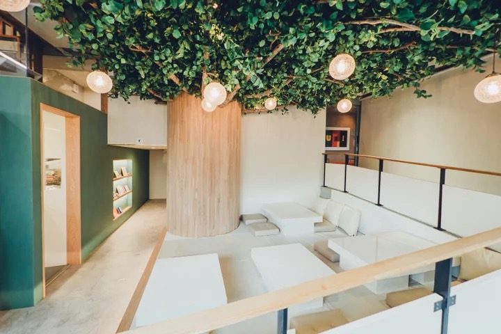 Kyoto cookies let you create your own edible 3-D forest world ...