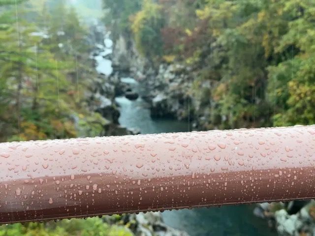 Flying dango: Unique tourist site where Japanese sweets are flown to ...