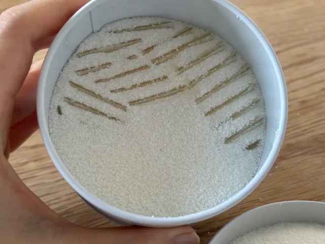 One of Japan’s rarest sweets is a sell-out hit that looks and tastes ...