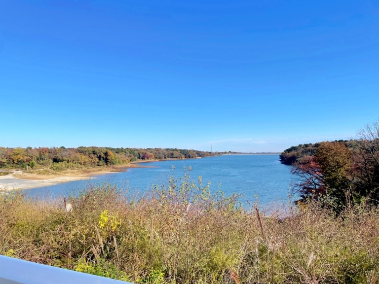 Biking around Tama Lake: A super-easy, super-relaxing afternoon getaway ...