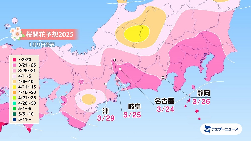 Super-detailed cherry blossom forecast maps for 2025 show warm winter ...