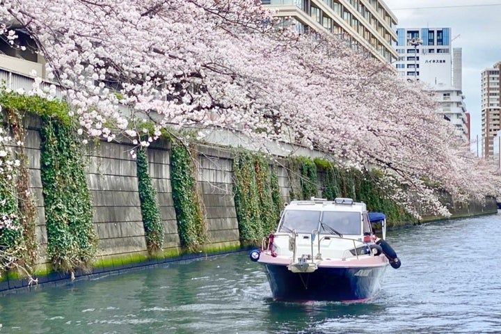 Reservations are now open for Tokyo’s Meguro River Ohanami Chandon ...