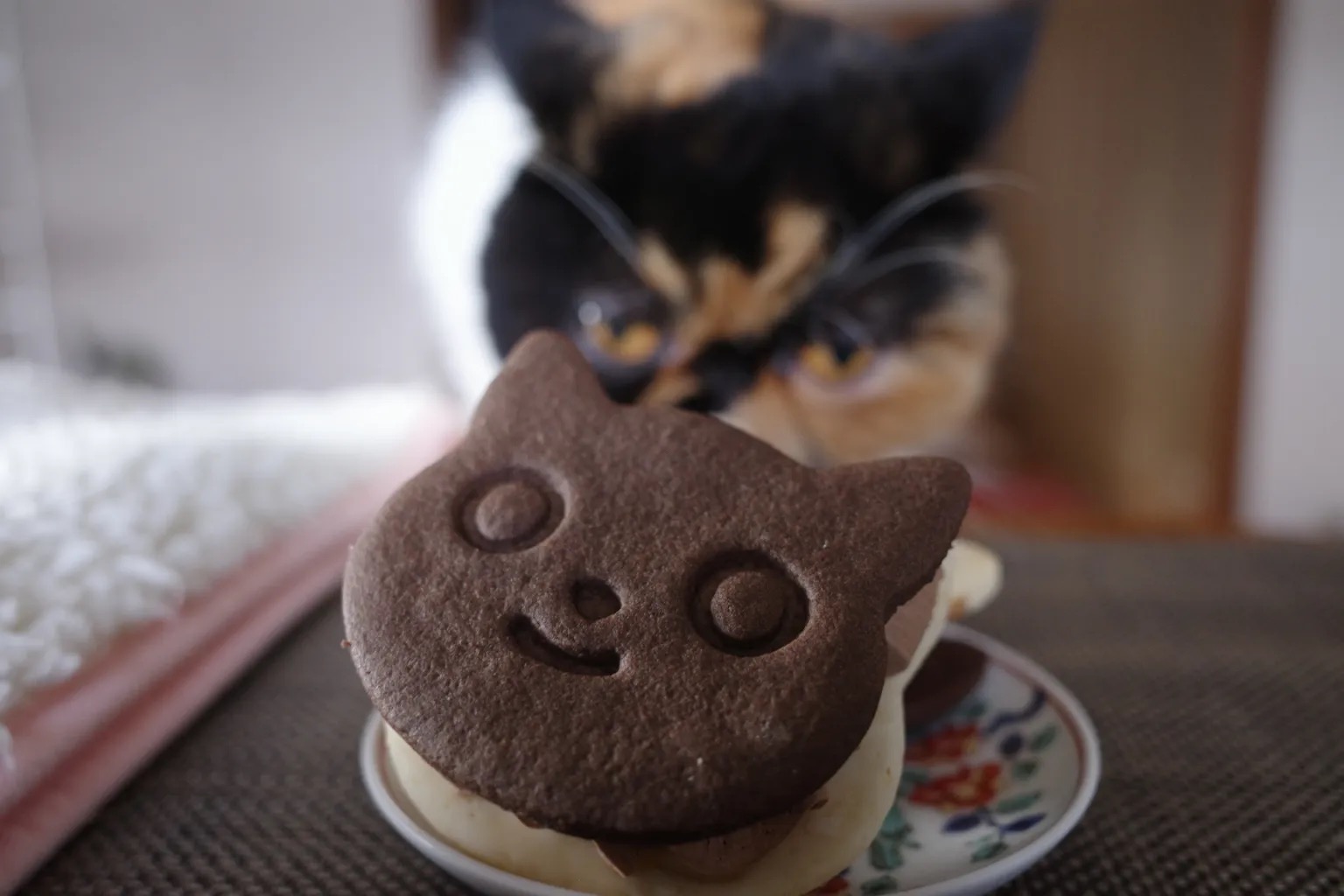 Family Mart unleashes sweet cats in Japan for Cat Day, but do they ...