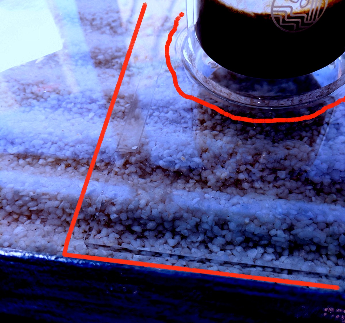 Ruru Cafe Shibuya wows customers by serving coffee and sweets on unique ...