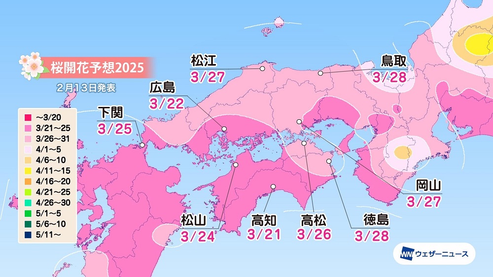 Newest Japan full-bloom cherry blossom forecast shows mankai sakura ...